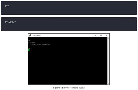 RAKwireless RAK R WisBlock Core Module User Guide