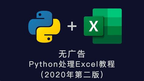 程序员小飞 超10万人选择python处理excel教程第二版 Youtube