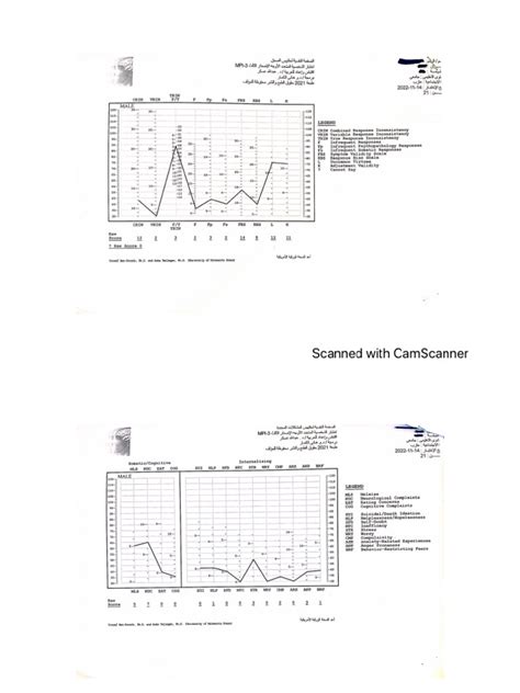 Mmpi Example Pdf