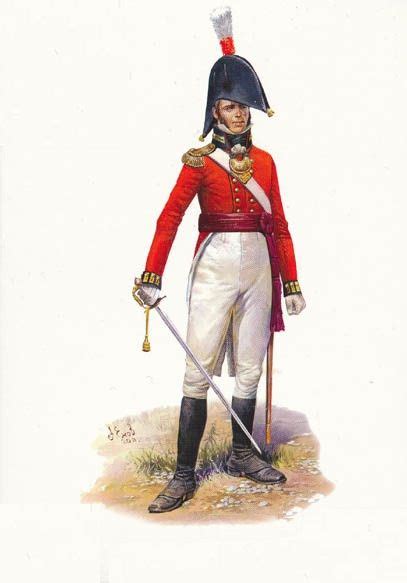 British Field Officer Napoleonic Era British Army Uniform British