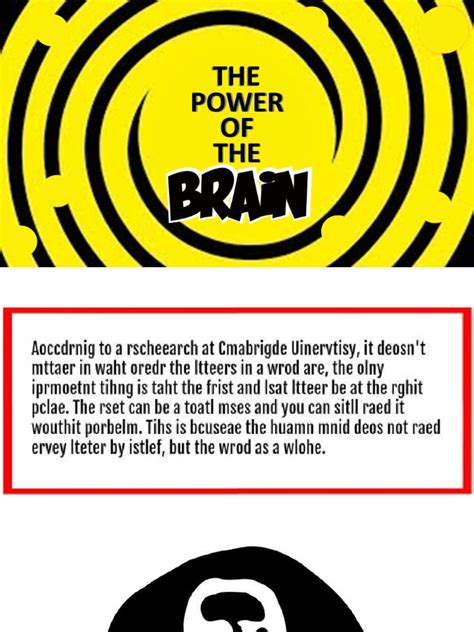 Lesson 59 Nervous System Descargar Gratis Pdf Brainstem Central