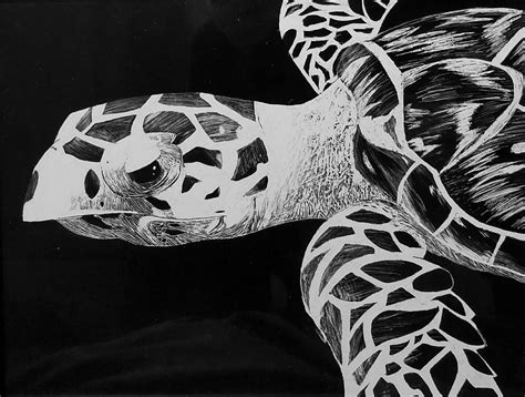 Sea Turtle 8x12 Scratch Board Rart