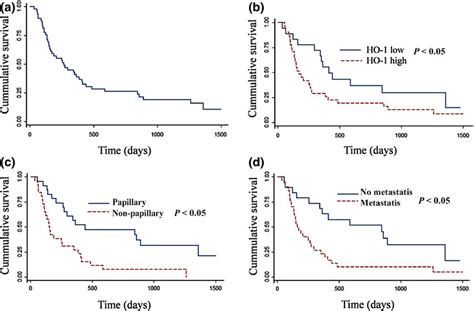 Cumulative Survival Curves Of Cholangiocarcinoma Patients A Survival