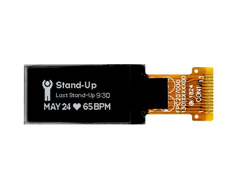 WEO AWPP N Y Winstar Longlife OLED Graphic Display Module