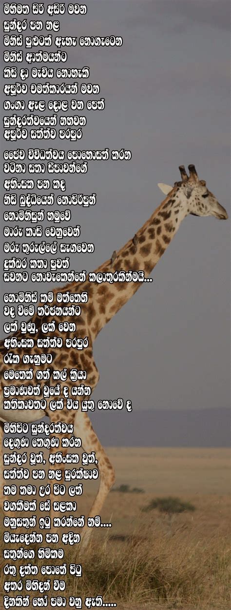 ලෝක සත්ව දිනය