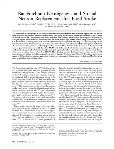 Pdf Rat Forebrain Neurogenesis And Striatal Neuron Replacement After