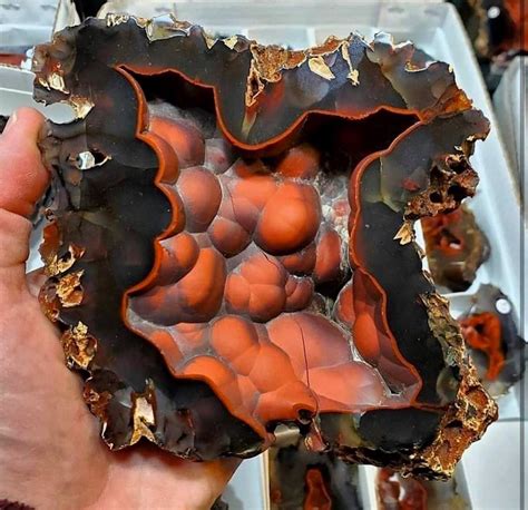 Red Fox Agate Geology In