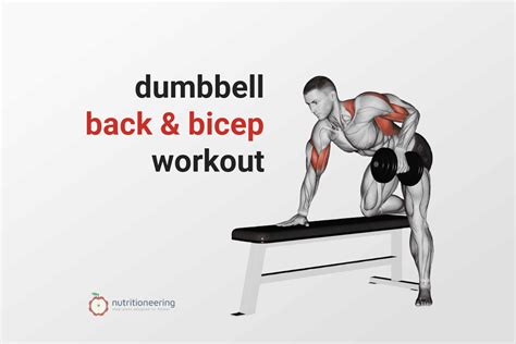 Complete Dumbbell Back And Bicep Workout