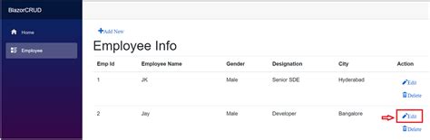 Blazor Server App Crud With Entity Framework Core In Net 5
