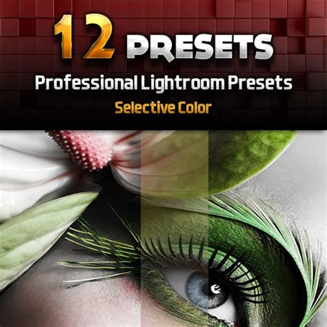 Selective Graphics Designs And Templates Graphicriver