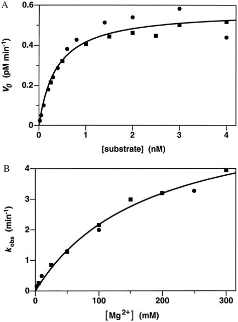 A General Purpose Rna Cleaving Dna Enzyme Pnas