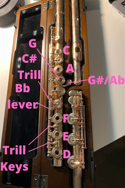 Flute Trill Charts Guide Brass N Wind