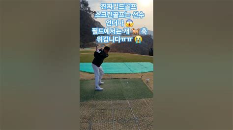 개 🐕 훅😭 골프레슨 아이언레슨 필드레슨 골프 골프존 퍼터 퍼팅 퍼터레슨 퍼팅레슨 비거리레슨 드로우샷 페이드샷 드라이버샷레슨