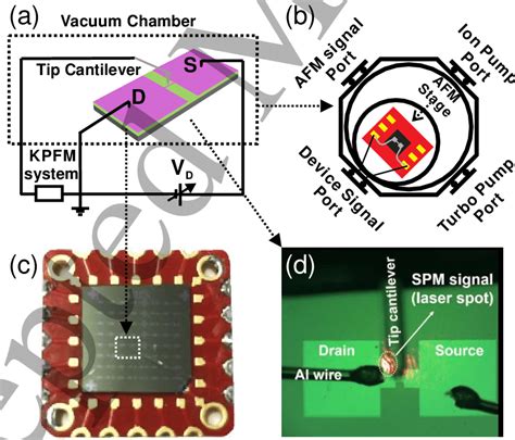 Kelvin Probe Force Microscopy Kpfm Measurement System And Sample