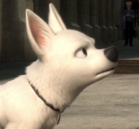 Bolt The Kanine The 3d Computer Animated Wiki Fandom