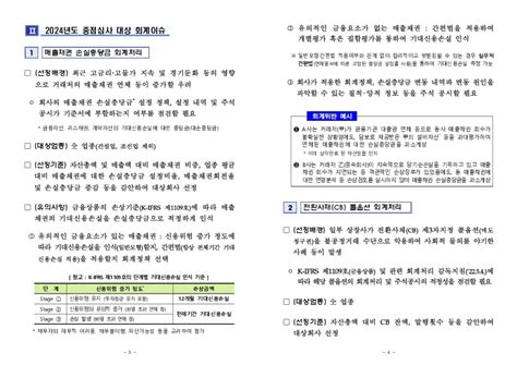 금융 뉴스 2024년도 재무제표 중점심사 회계이슈 업종 사전예고 이지론