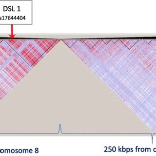 Two Ld Block Structures On Two Chromosomes Presented Are Two Ld Blocks Download Scientific