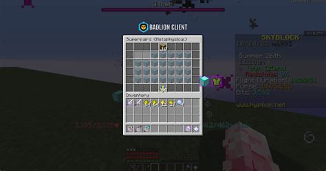 Some Solvers Don T Work And Some Entities Are Partially Invisible Hypixel Forums