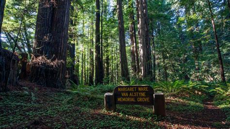 Navarro River Redwoods State Park Sacred Rock Inn