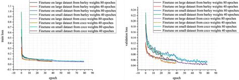 loss curves of several different instance segmentation model in