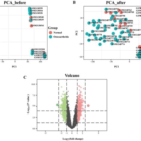 Two Dimensional Pca Cluster Plot Before And After Sample Correction And