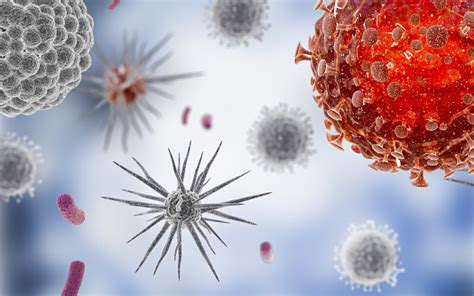 바이러스 세포 또는 박테리아 분자 독감 현미경 전염병하에서 바이러스의 보기 세균 박테리아 세포 감염 유기체 바이러스 H1n1 돼지 독감 코로나 바이러스 3d 렌더링