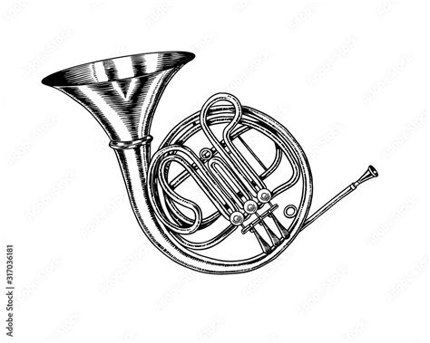 French Horn Drawing Step By Step At Lilly Sheehy Blog