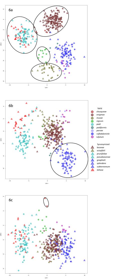 Pensoft Writing Tool