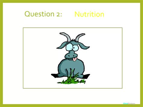 4 Grouping And Identifying Organisms Pptx