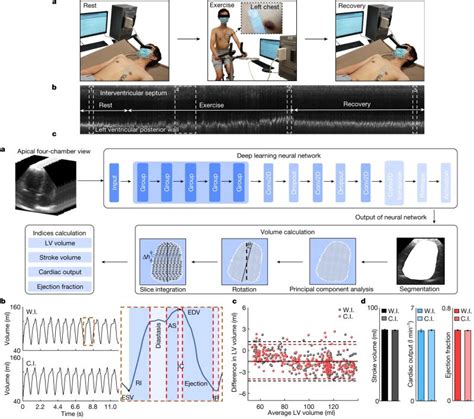 Machinelearning Python Radiology Imageprocessing Radiomics Cancer
