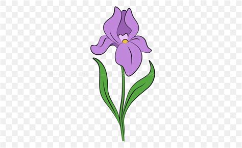 Drawing Iris Flower Data Set Iris Flower Data Set Clip Art Png 500x500px Drawing Common
