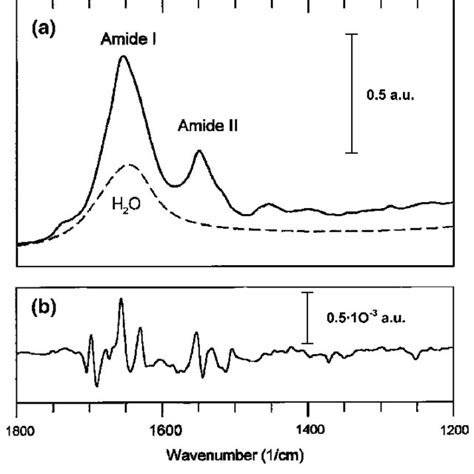PDF Fourier Transform Infrared FTIR Spectroscopy