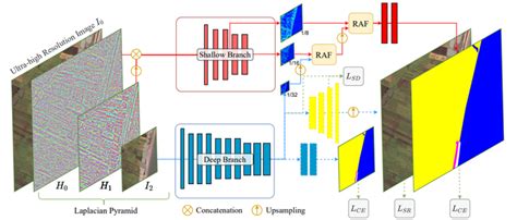 上交大马利庄团队 Cvpr 力作 I Isdnet 探索超高分辨率图像分割的高效之道 知乎
