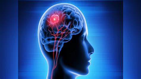 New Findings On Neuronal Activities In The Sensorimotor Cortex