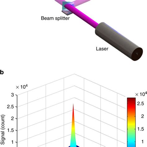 Experimental Schematic And Spatially Resolved Reflectanceschematic Of
