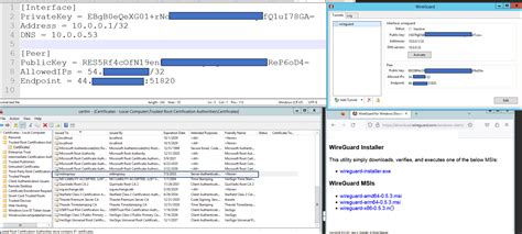 Secure Application Introspection Ana Technology Partner