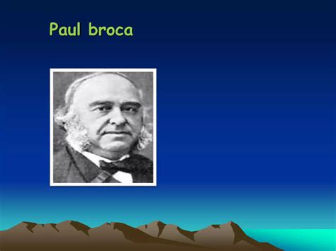 Language And The Brain 1 Pptx