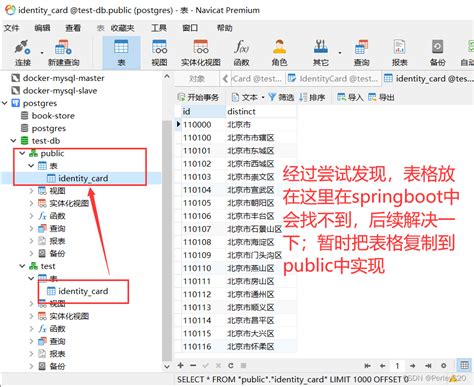 Postgresql数据库——docker版本的postgres安装 And Navicat连接方式导入向导使用 And Springboot结合