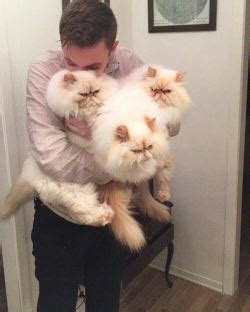 Anatomika Tumblr Com Post Porn Photo Pics