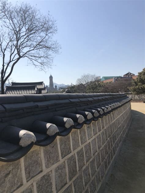 아침을 여는 고요하고 웅장한 한국 감성 한국 분위기 사진 11탄 인스티즈 Instiz 인티포털 카테고리