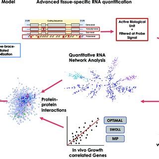Experimental Workflow And Analysis Strategy Download Scientific Diagram