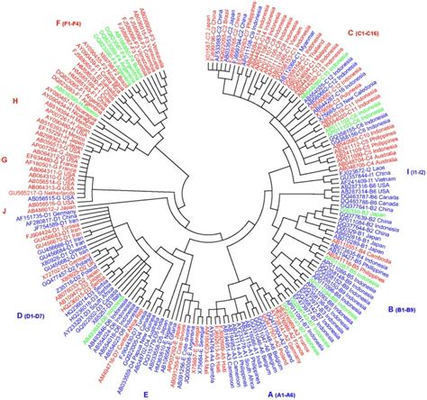 The Phylogenetic Tree Was Constructed Using The Upgma Method The