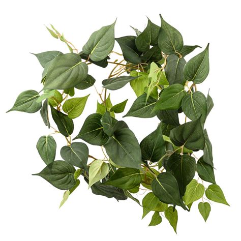 Лиана Купить искусственные растения в Москве