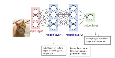 Neural Networks A Journey Into The Weights And Biases By Gurmehar
