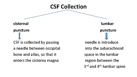 Cerebrospinal Fluid CSF DR SHUBHANGI SAXENA SHMCNYS INTRODUCTION