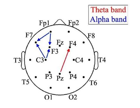 4 Partial Directed Coherence Map For Electroencephalograms Eegs