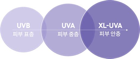 퍼펙트 리뉴 파이브디 선 프로텍터 에센스 라네즈 한국