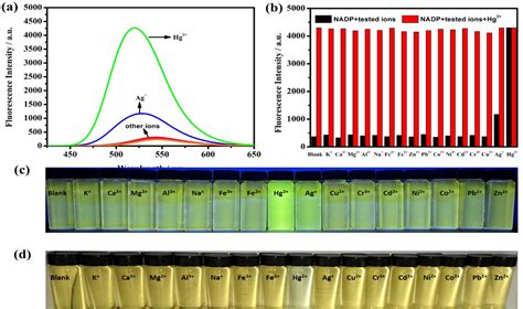 A Naphthalimide‐based Fluorescent Probe For The Detection And Imaging Of Mercury Ions In Living