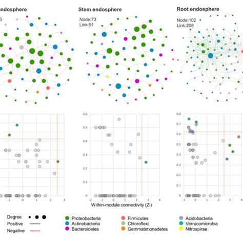 The Correlation Networks Of Bacteria In Different Ecological