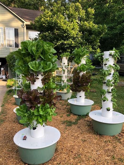 Ideal Hydroponic Plant Tds Range Charts Grow Your Health Gardening